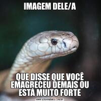 Meme Cobra Naja Brasília - Gerar Memes - Gerador de Memes Engraçados