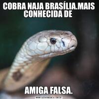 Meme Cobra Naja Brasília - Gerar Memes - Gerador de Memes Engraçados