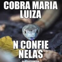 Meme Cobra Naja Brasília - Gerar Memes - Gerador de Memes Engraçados